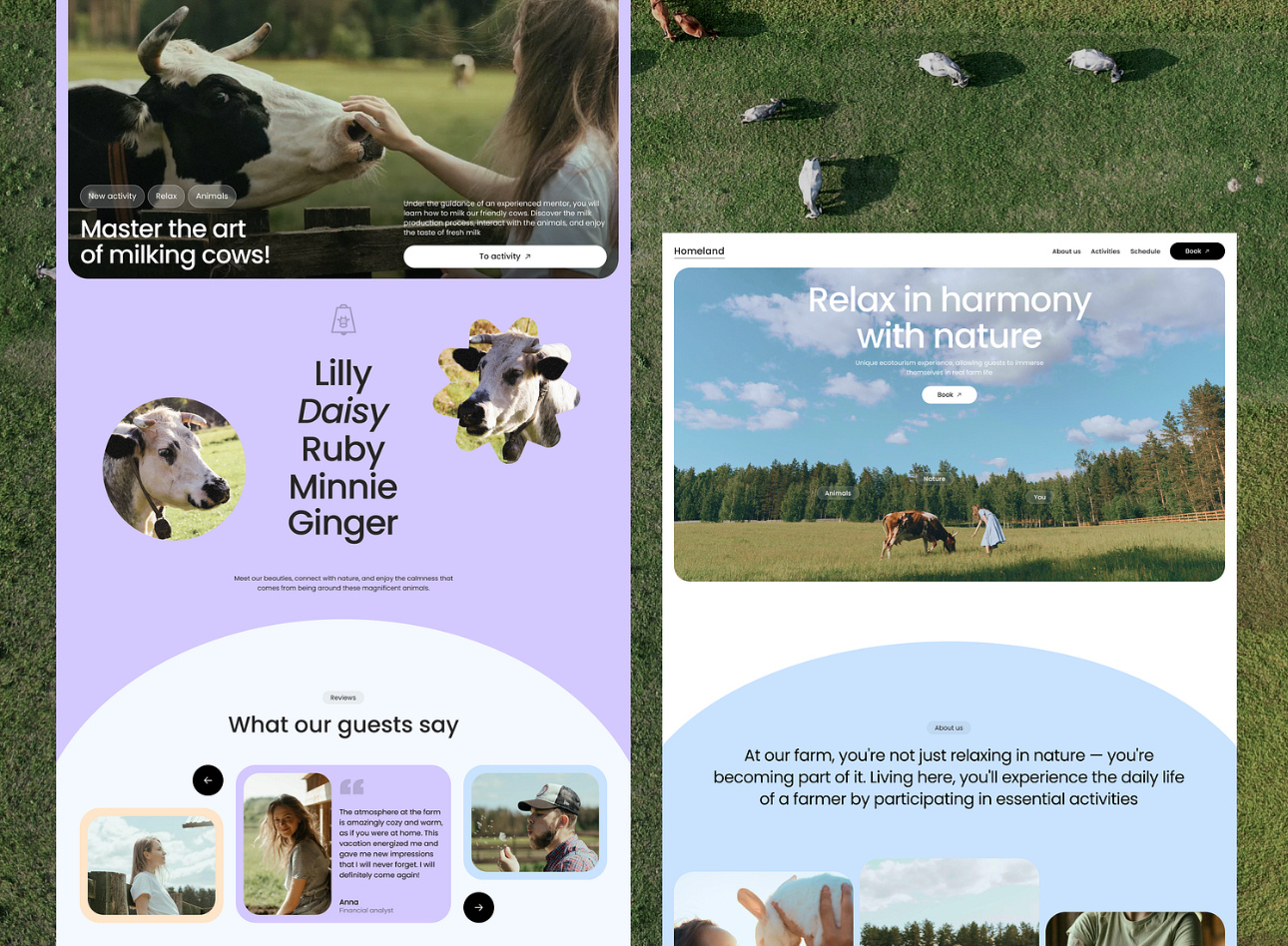 Homeland Web Design by Madison Hanks on Dribbble