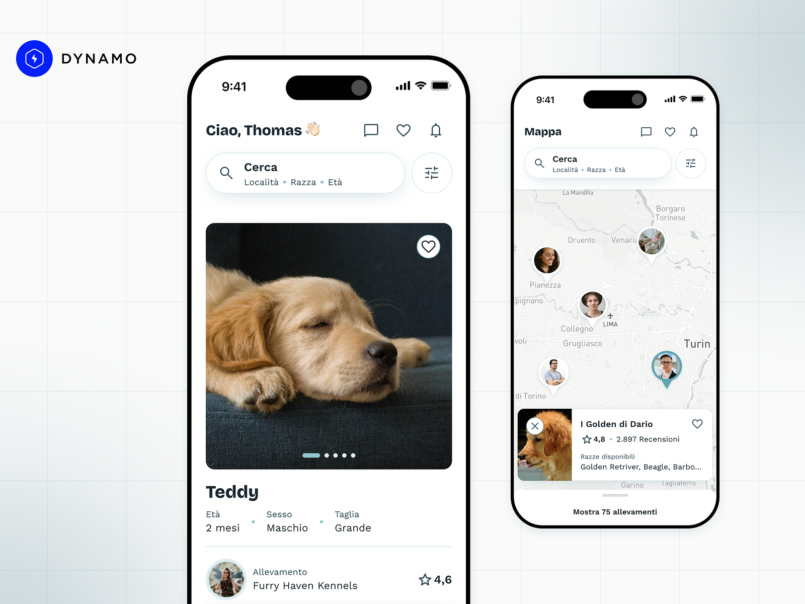 Design Exploration: Best Friend App by Thomas Arcuri for Dynamo on Dribbble
