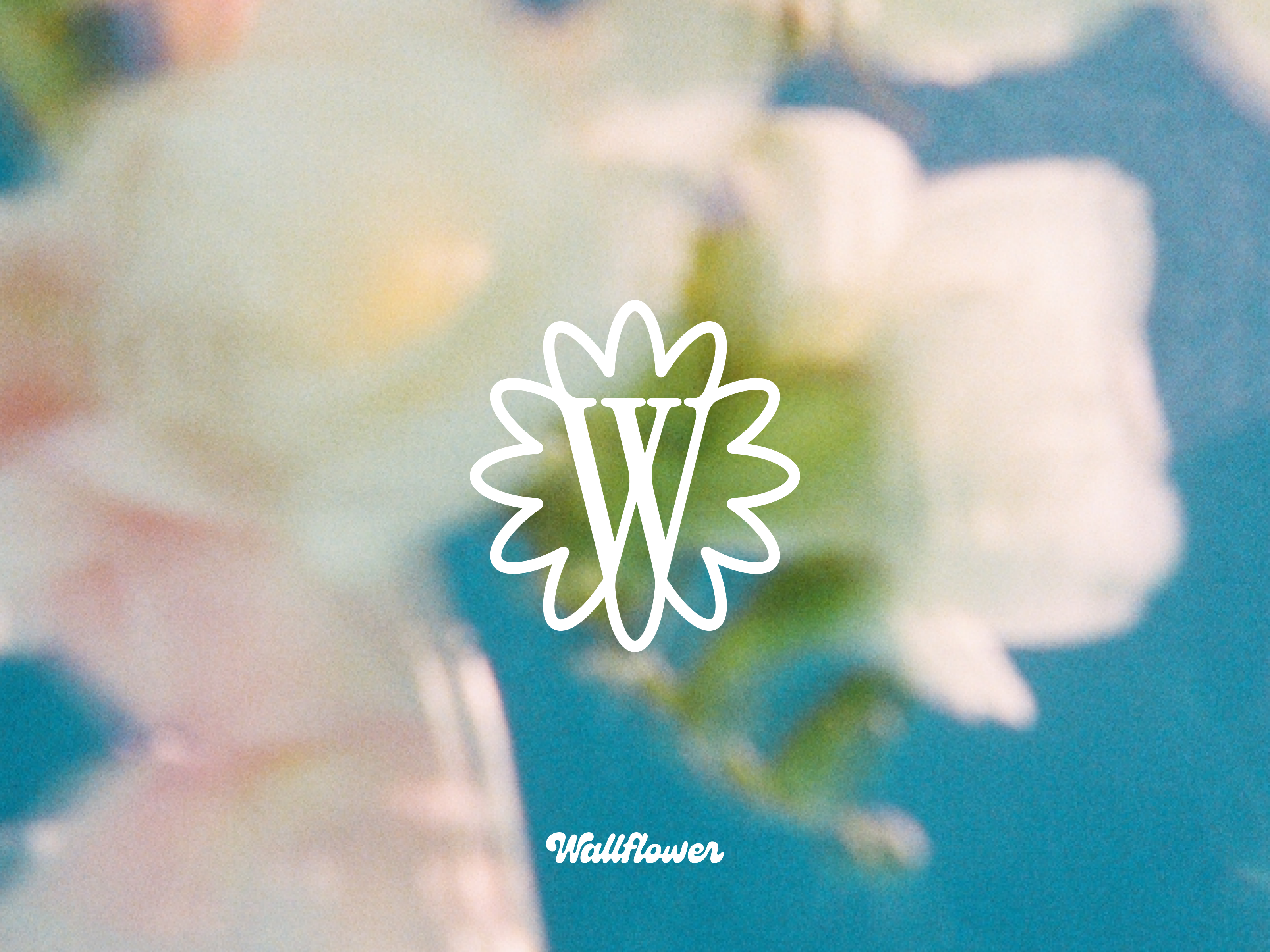 A Year in Review – Design Projects 2024 by Alex Aperios on Dribbble