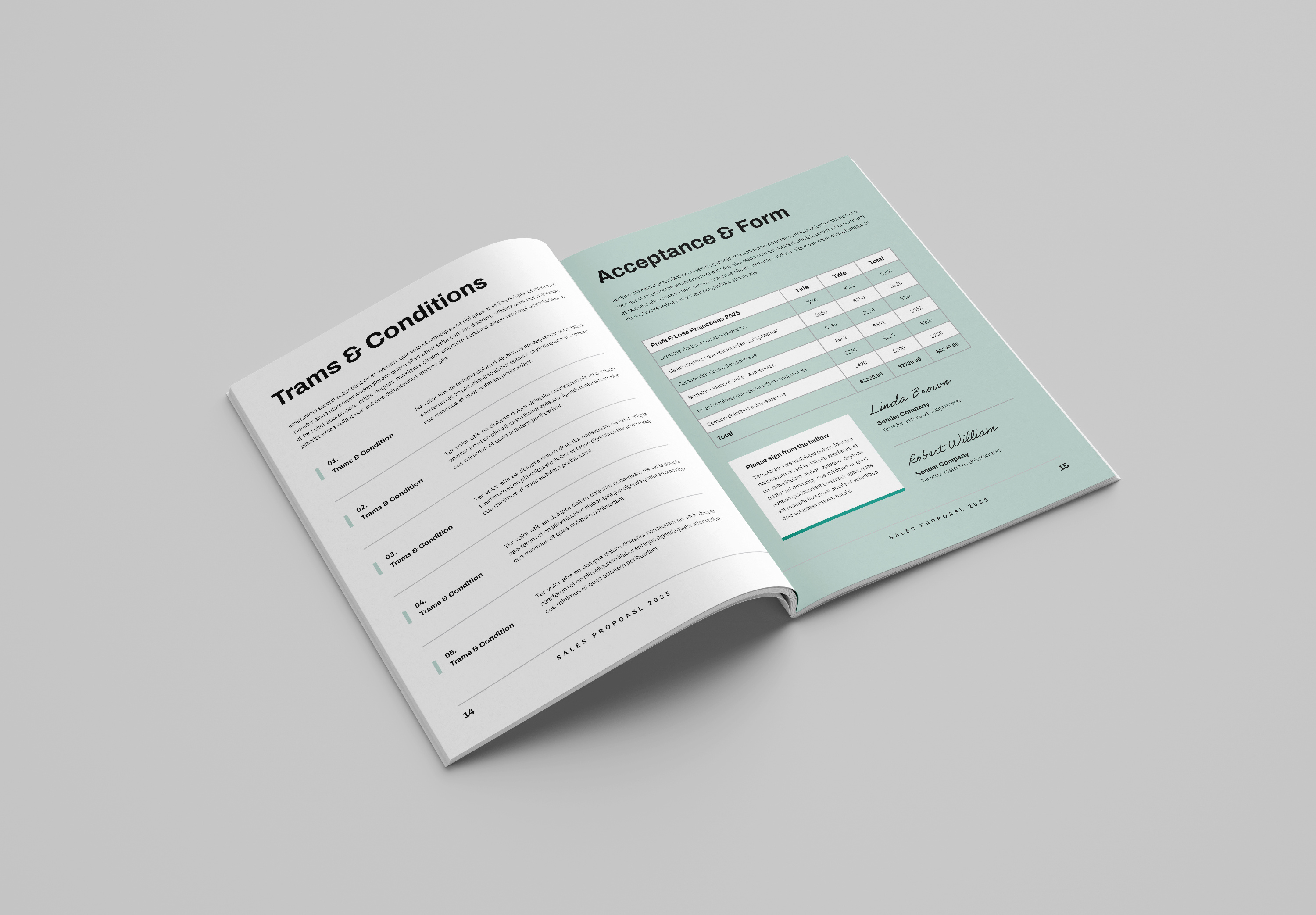 Sales Proposal Template by Spark_Creative on Dribbble
