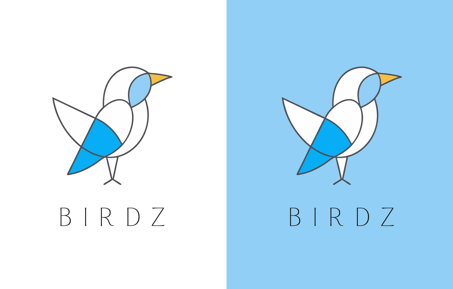 BirdZ logo artwork by Sifat Miah on Dribbble