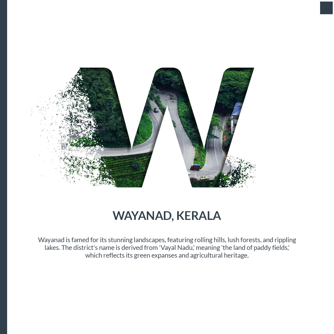 A to Z India - W : Wayanad by Aiswarya Salim on Dribbble