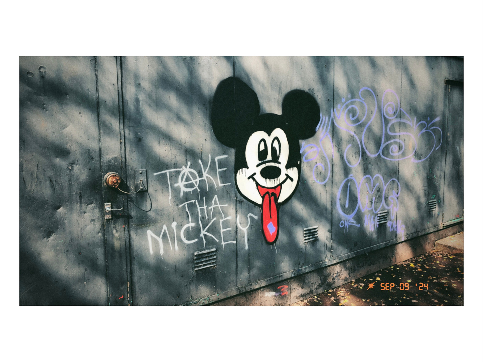 Dispo - Disposable Camera App | Collection 2 by Karl Bembridge on Dribbble