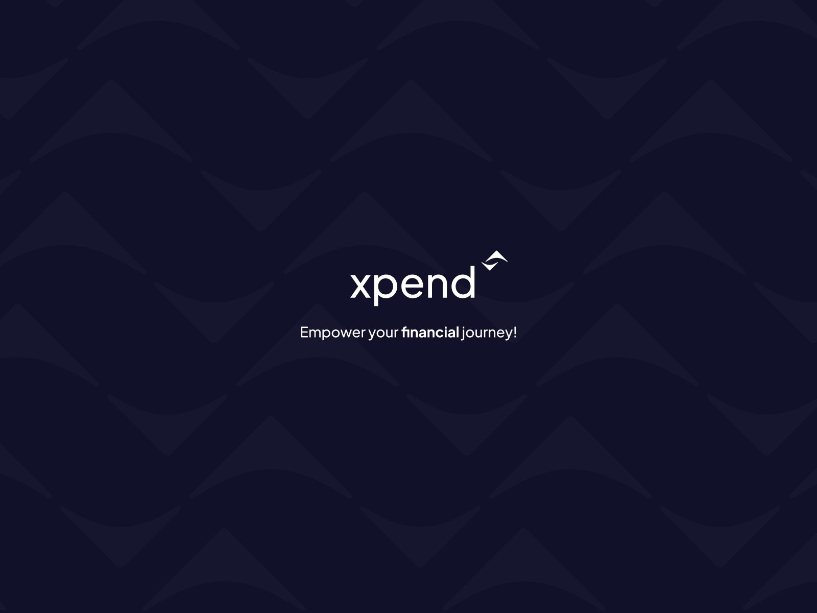 Xpend - Financial Technology Visual Identity Branding Guideline by LAIN Branding for LAIN DESIGN ...