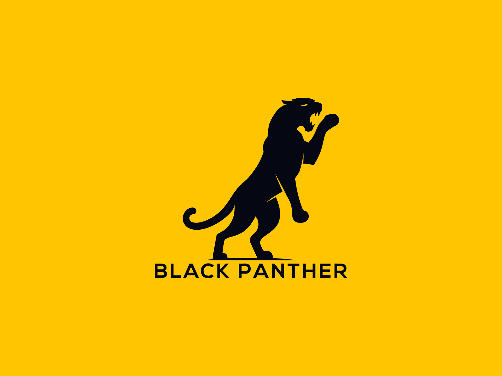 Panther Logo by Ben Naveed 🇺🇸 on Dribbble
