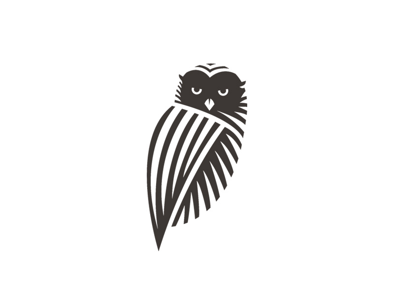 Owl & Lines by Ardalan on Dribbble