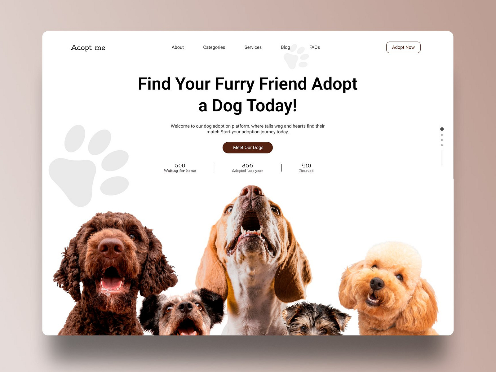 Pet Adoption Website by Laiba Farooq on Dribbble