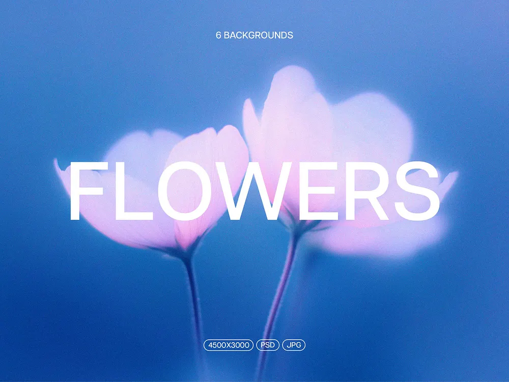 Browse thousands of Flower images for design inspiration | Dribbble