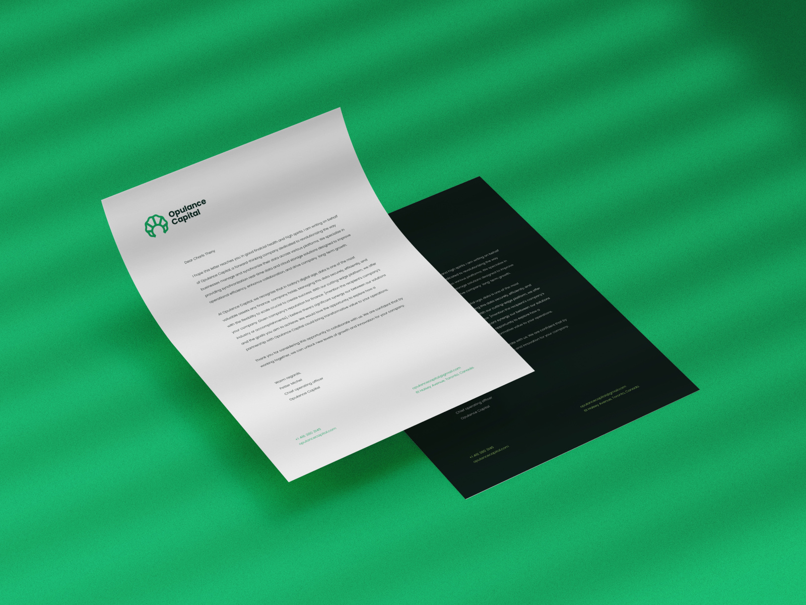 Opulance Capital | Fintech Logo, Brand Identity & Branding by Abedin Joy on Dribbble
