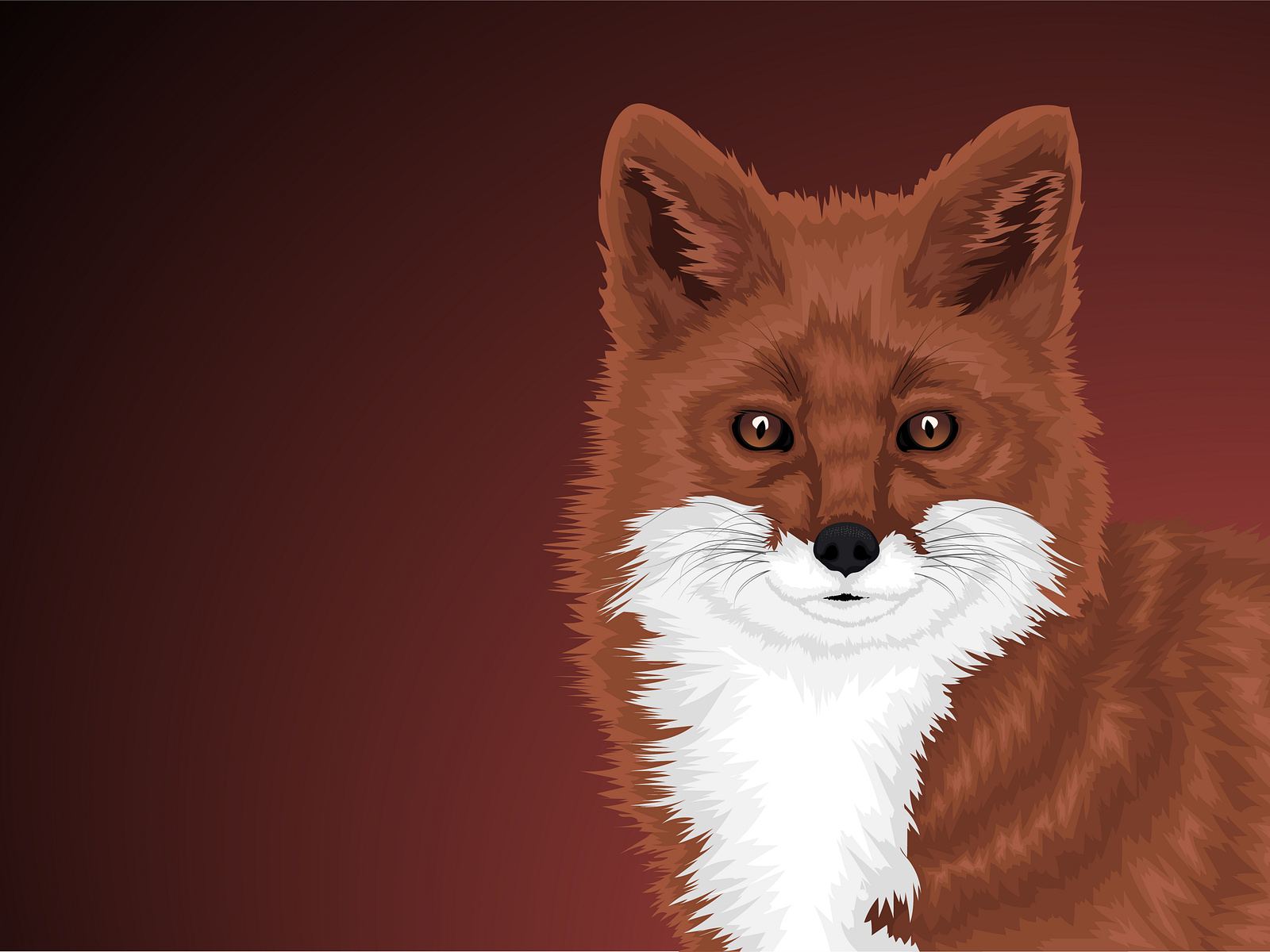 The Fox's Gaze by Yasir Arafat on Dribbble