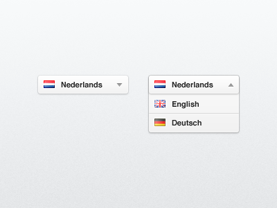 UI — Language Switch by Maykel Loomans on Dribbble