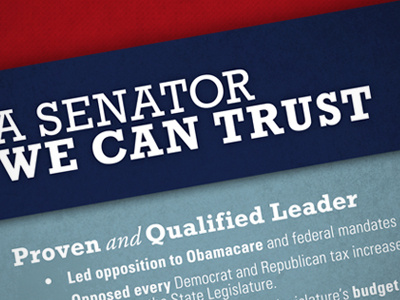 Senate Campaign Handout by Jon Pope on Dribbble