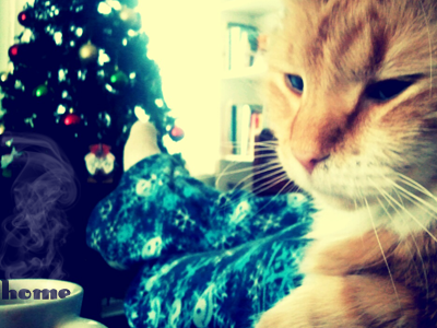 My Favorite Place on Earth by Bryan Garvin on Dribbble