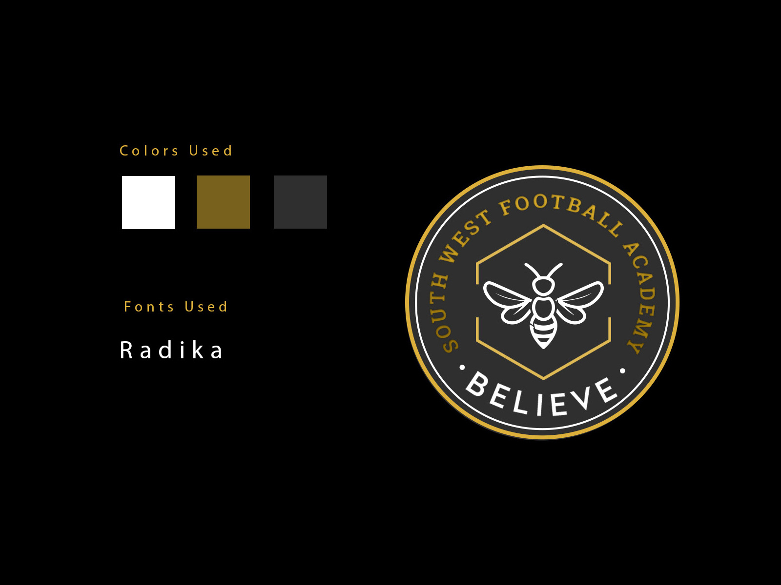 Believe Logo design by Hemant Manchanda on Dribbble