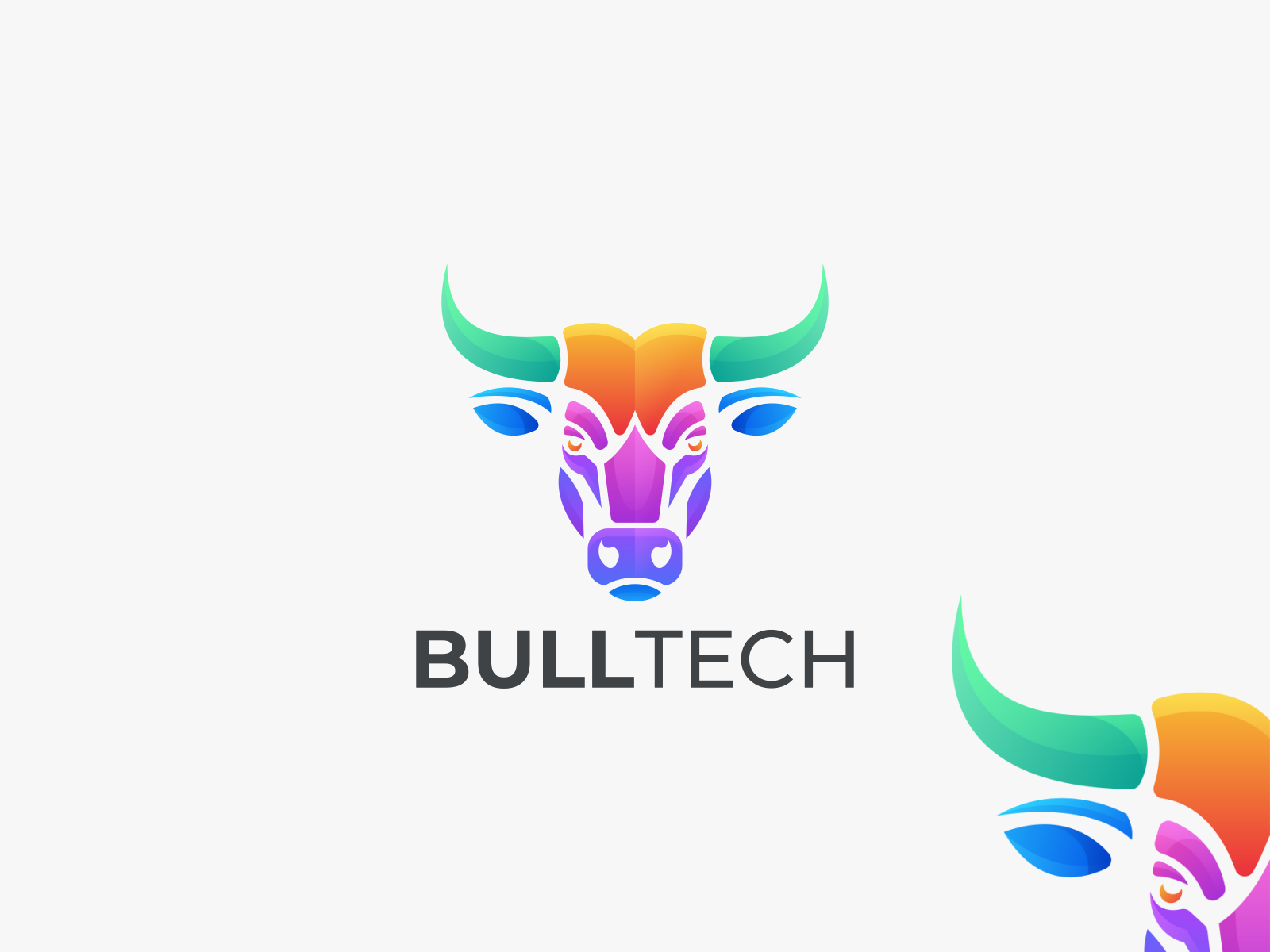 BULL TECH by MT Projectss on Dribbble