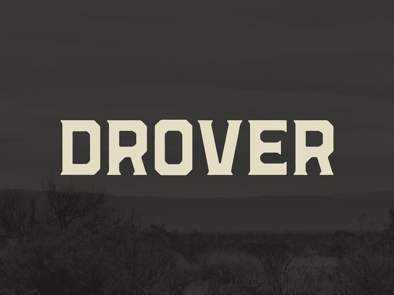 Drover Typeface by Ocotillo Design Studio | Sarah on Dribbble