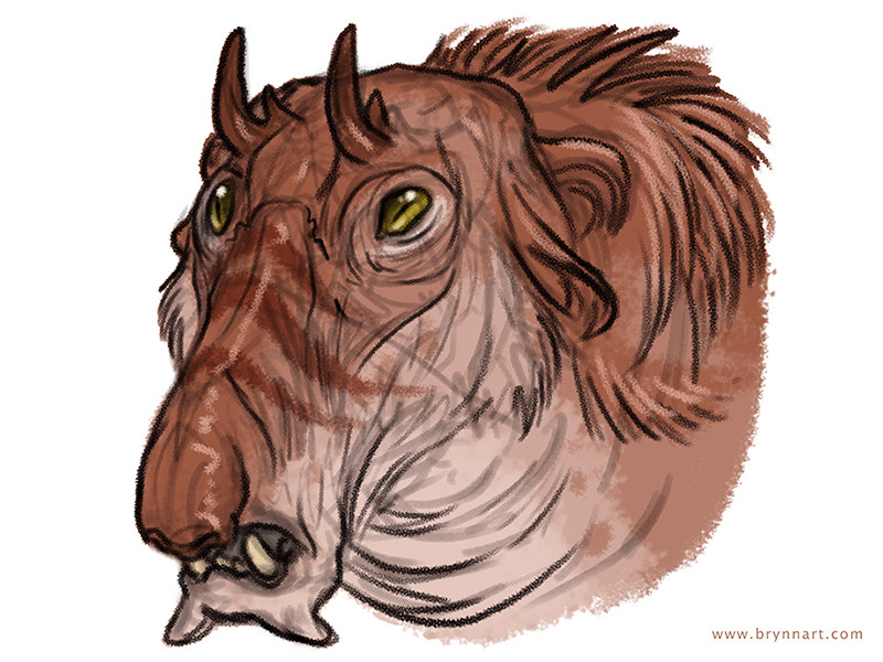 Long Face by Brynn Metheney on Dribbble
