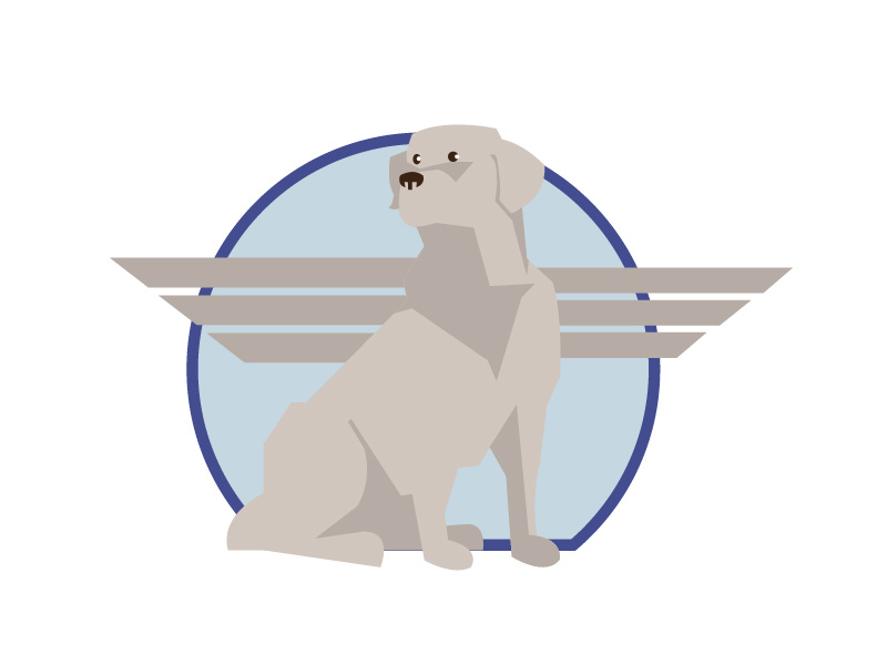 Bird Dog by Darren Halbig on Dribbble