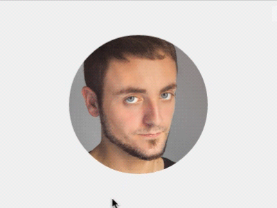 Avatar Flip And Social Links by David Barahona on Dribbble