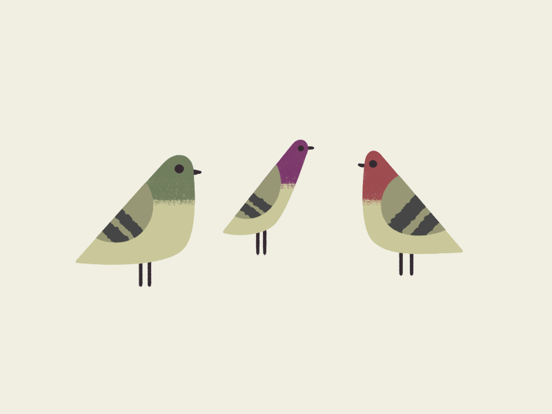 Animated Pigeons by Andrew Kolb on Dribbble