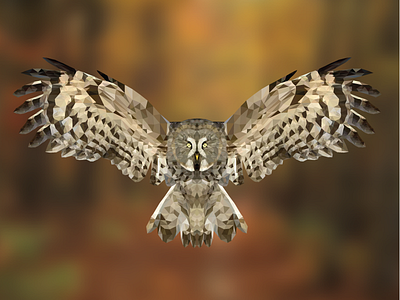 Owl Polygon by Abbie Runcie on Dribbble