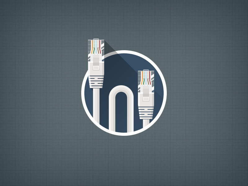 Network Cable by Winson on Dribbble