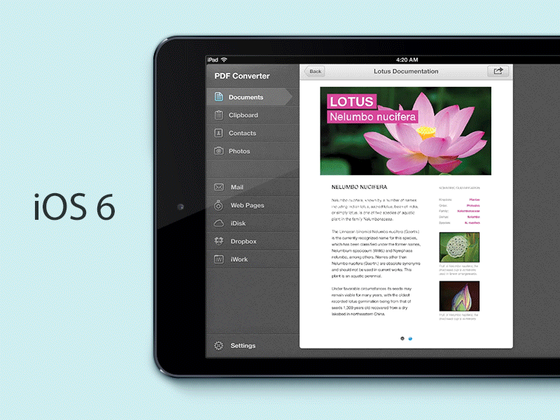 Pdf Converter designs, themes, templates and downloadable graphic ...