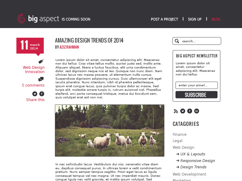 Clean Blog Design by Luminosity on Dribbble