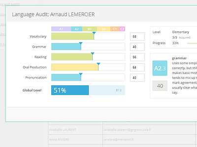 Language audit form by Arnaud Lemercier on Dribbble