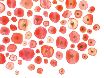 tomato collage by Ashleigh Green on Dribbble