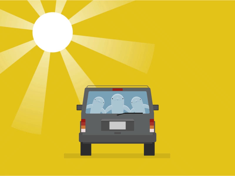 Brad Colbow | Dribbble