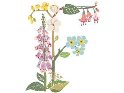 Botanical Letter F by Sabina on Dribbble