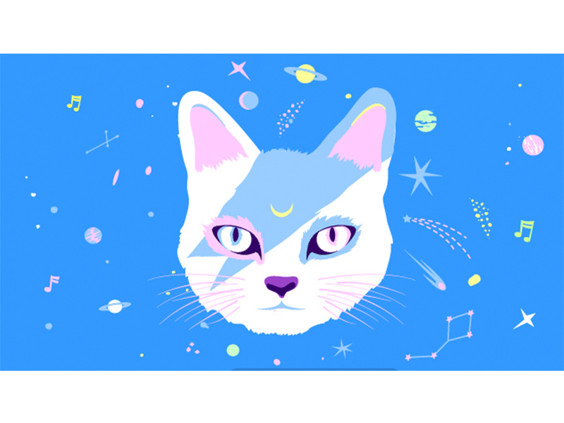 cat by vero escalante on Dribbble