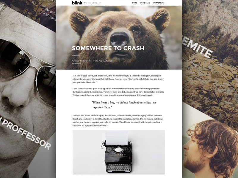 Blink - WordPress theme Design by John Fraskos on Dribbble