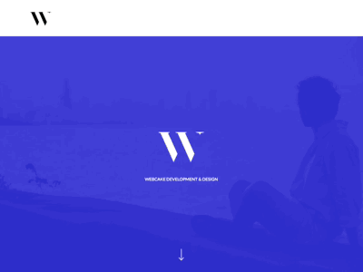 Browse thousands of Webcake images for design inspiration | Dribbble