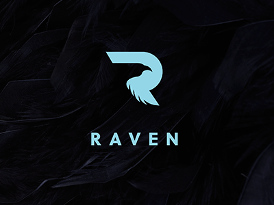 Raven by Steven Hemmings on Dribbble