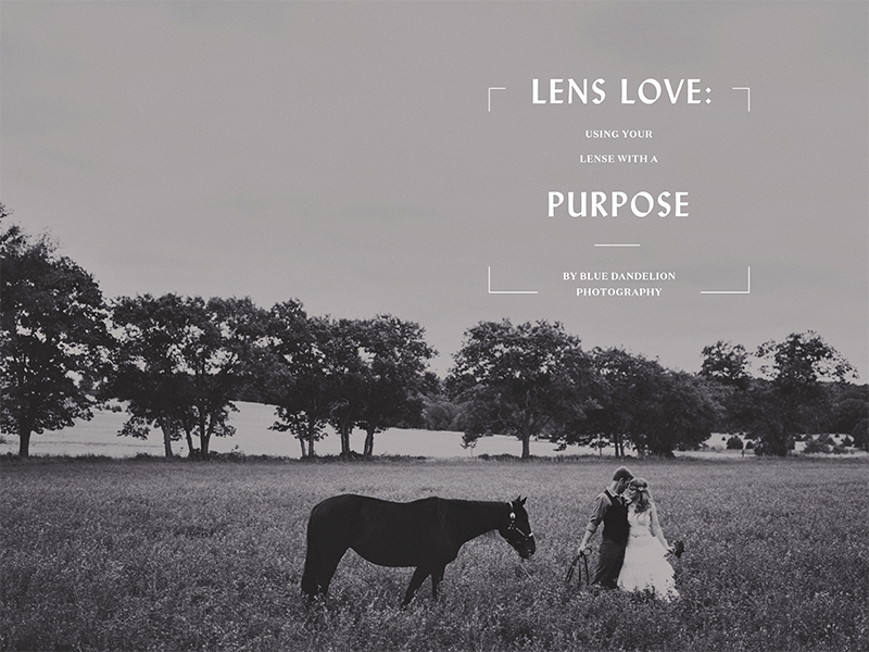 Lens Type by Amber Asay on Dribbble