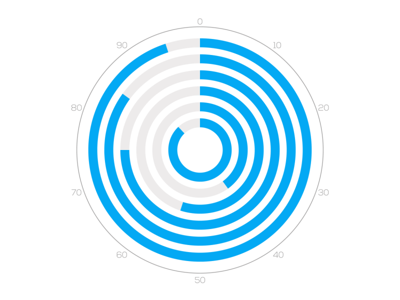 Multiple Circle Chart by Forzi on Dribbble