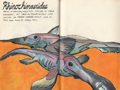 Deep Sea Creatures designs, themes, templates and downloadable graphic ...