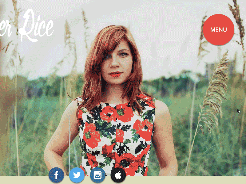 Animated Menu by Robert Jones on Dribbble