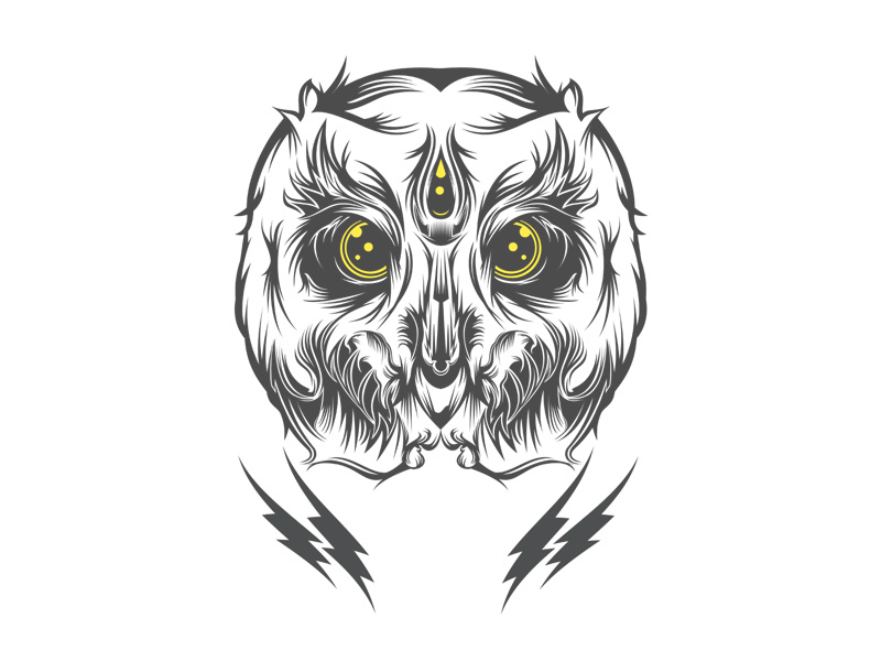 All Seeing Owl by Orange Creative Co. on Dribbble