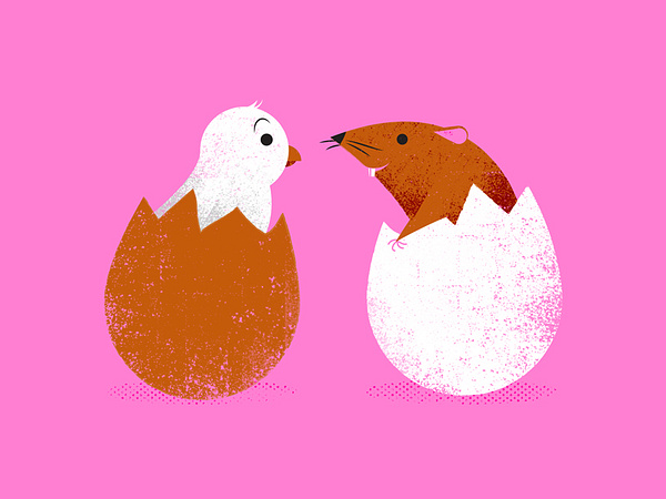 Illustrated Science 02 - Mice eggs by James Olstein on Dribbble