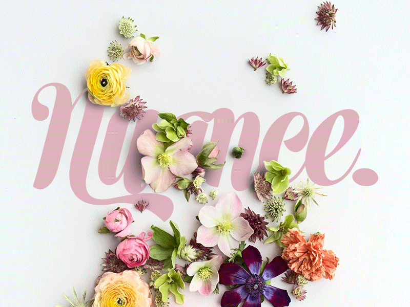 Browse thousands of Nuance images for design inspiration | Dribbble