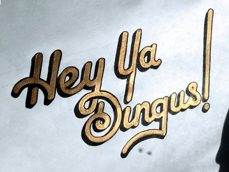 Hey Ya Dingus! by Jared Bergeron on Dribbble