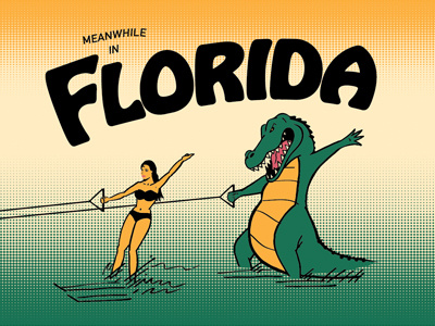 Meanwhile In Florida by Joe Q. on Dribbble