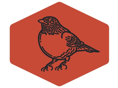 Robin Icon by Chad B Stilson on Dribbble