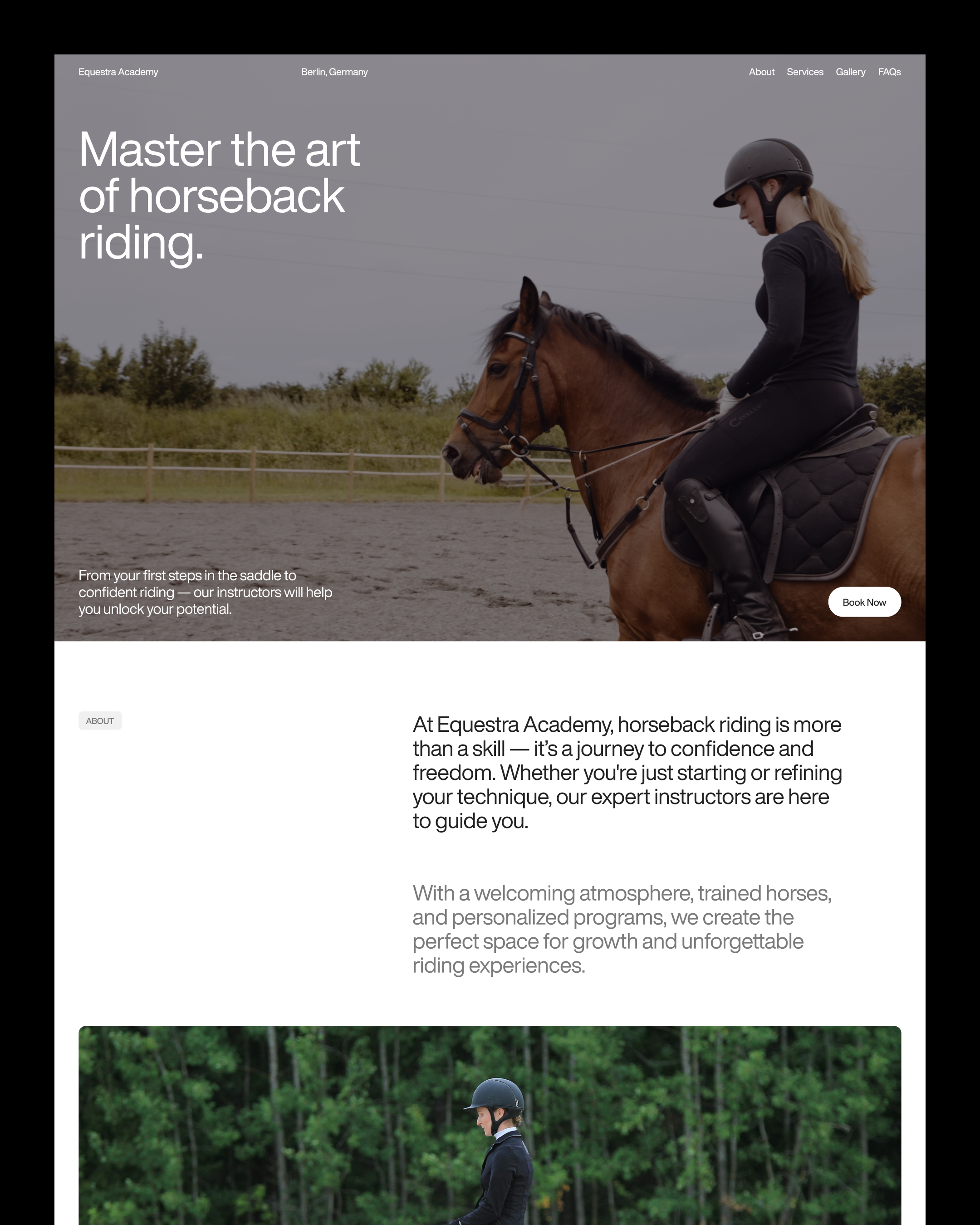 Equestra Academy (UI Animation) by Alex Tkachev on Dribbble