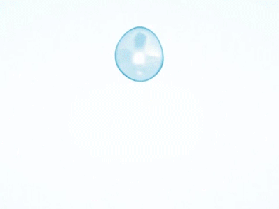 Water Drop Simulation by Ivan Cruz on Dribbble