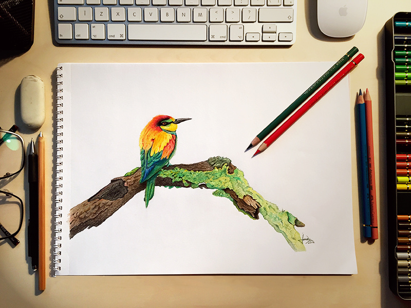Drawing by Darius Dan on Dribbble