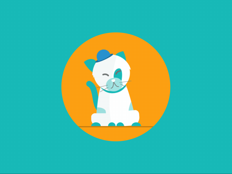 Browse thousands of Cat Gif images for design inspiration | Dribbble